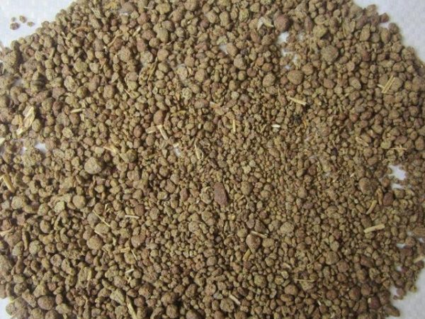 Rapeseed Meal – Deemaj FZCO
